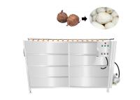 China Brush Type Washer 2000kg/h Veg Peeling Machine For Carrots for sale