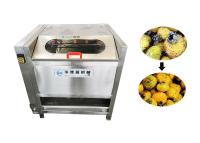 China 700kg/H 380v Lotus Root Vegetable Washing Machine for sale