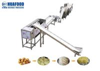 China 0.5T/H Fruit And Vegetable Processing Line Sweet Potato Washing Cleaning Sorting Selecting for sale