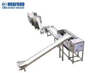 China 0.5T/H Fruit And Vegetable Processing Line Sweet Potato Washing Cleaning Sorting Selecting for sale