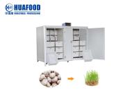 China 250kg/Day Automatic Food Processing Machines Mung Bean Sprout Machine for sale