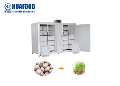 China 250kg/Day Automatic Food Processing Machines Mung Bean Sprout Machine for sale