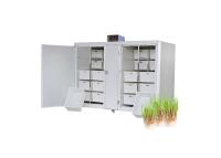 China 250kg/d Commercial Seed Germination Machine Automatic Bean Seed Sprout Machine for sale