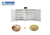 China 250kg/d Commercial Seed Germination Machine Automatic Bean Seed Sprout Machine for sale
