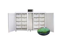 China 250kg/d Commercial Seed Germination Machine Automatic Bean Seed Sprout Machine for sale