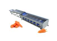 China 3t/H Electric Carrot Grading Machine Tomato Carrot Sorting Machine for sale