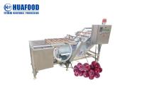 China 500KG/Hour Grape Drying Machine Washing Process Machines For Raisin for sale