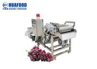 China 500KG/Hour Grape Drying Machine Washing Process Machines For Raisin for sale