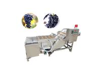 China 500KG/Hour Grape Drying Machine Washing Process Machines For Raisin for sale