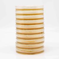 China Sterile Prepared Agar Plates Cetrimide Agar CA Media Plate For Selective Detection for sale
