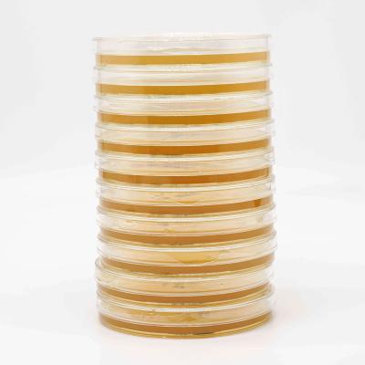 China Sabouraud Dextrose Agar Plate Sterile Packaged Culture Media SDA Agar Plate for sale