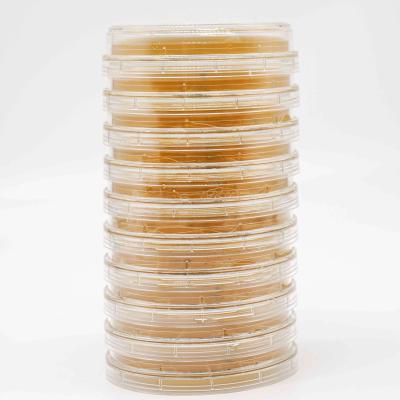 China Sterile Prepared Agar Plates Cetrimide Agar CA Media Plate For Selective Detection for sale