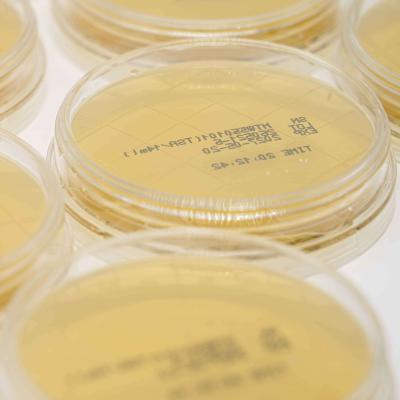 China Microbiology Prepared Agar Plates Lecithin Tween 80 Tryptic Soy Agar TSAWLP Sterile Culture Media for sale