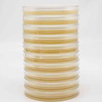 China Sterile Prepared Agar Plates Cetrimide Agar CA Media Plate For Selective Detection for sale