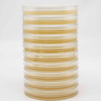 China Microbiology Mannitol Salt Agar MSA Plate For Selective Isolation And Identification Support for sale