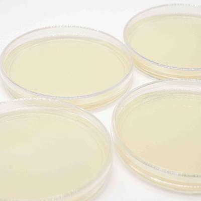 China Tryptic Soy Agar TSA Sterile Culture Media Plate For Pharmaceutical Microbiology Testing for sale