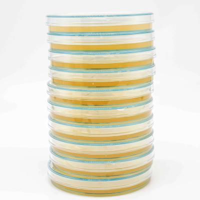 China Sterile Microbiological Culture Plates Tryptic Soy Agar TSA For Pharmaceutical Testing for sale