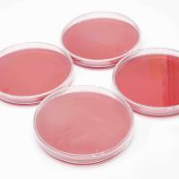 China Sterile Prepared Agar Plates Cetrimide Agar CA Media Plate For Selective Detection for sale