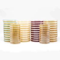 China Sterile Prepared Agar Plates Cetrimide Agar CA Media Plate For Selective Detection for sale