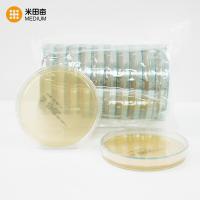 China Sterile Sabouraud Dextrose Agar Plate for Yeast Mould Detection Ready-to-use SDA Prepared Culture Media Plate for sale