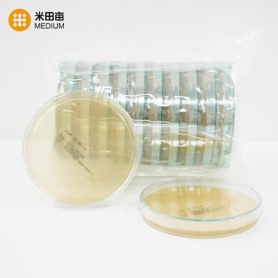 China Sterile Sabouraud Dextrose Agar Plate for Yeast Mould Detection Ready-to-use SDA Prepared Culture Media Plate for sale