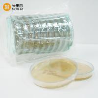 China Sterile Sabouraud Dextrose Agar Plate for Yeast Mould Detection Ready-to-use SDA Prepared Culture Media Plate for sale