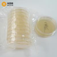 China Sterile Sabouraud Dextrose Agar Plate for Yeast Mould Detection Ready-to-use SDA Prepared Culture Media Plate for sale