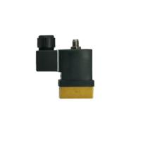 China DC24V Pneumatic Solenoid Valve Brass Body  FKM Plug Perfect for Industrial Pneumatic Automation Applications 137830 for sale