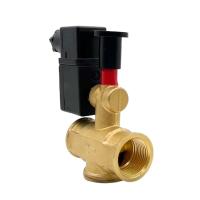 China 13EAB25K25 Water Valve Featuring LPG Working Medium 500 Mbar for Various Industrial Fluid Control Applications for sale