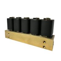 China 1/4'' Port Size Pneumatic Solenoid Valve 1913BB302 Direct Acting Operation Featuring FKM Seal Material 2/2 Way Normally Open for sale