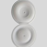 China 15R022 PTFE Replacement Diaphragms Graco 1050 1 Inch Pneumatic Diaphragm Pump Spare Parts OD205mm  24B626 24B624 for sale