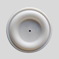 China 189294 PTFE Diaphragm Spare Parts for Graco 2150 Husky Pneumatic Diaphragm Pump 15K313 for sale