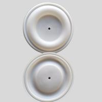 China 189294 PTFE Diaphragm Spare Parts for Graco 2150 Husky Pneumatic Diaphragm Pump 15K313 for sale