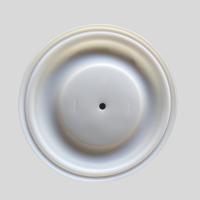 China 189294 PTFE Diaphragm Spare Parts for Graco 2150 Husky Pneumatic Diaphragm Pump 15K313 for sale