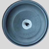 China SEKO High Quality Composite Diaphragm Spare Part for SEKO Mechanical Dosing Pump, Outer Diameter 145mm with M8 Screw for sale