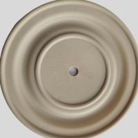 China American ALL-FLO 10613-23 Port Size 1 Inch Beige Santoprene Diaphragm Repair Kit Featuring Diameter 180mm for sale