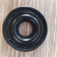 China Metering Pump Accessories Oil Seal SEKO MS1C108.MS1C138.MS1C165 Oil Seal for sale