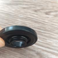 China Metering Pump Accessories Oil Seal SEKO MS1C108.MS1C138.MS1C165 Oil Seal for sale