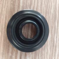 China Metering Pump Accessories Oil Seal SEKO MS1C108.MS1C138.MS1C165 Oil Seal for sale