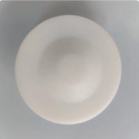 China PTFE Diaphragm Sheet For SEKO Electromagnetic Dosing Pump DMS300ASK803 Corrosion Acid Alkali Resistant Diaphragm for sale