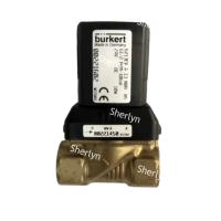 China EPDM Sealed Brass Solenoid Valve 00221659 Burkert 6213, Orifice 13, G3/4 Connection, 2/2 Normally Closed, AC24V 8W, Pressure 0‑10bar, Temp Range ‑30~+90°C for sale