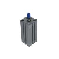 China FESTO ADN100-10/15/20/25/30/40/50/60/80-I/A-P-A Double Acting Piston Pneumatic Cylinder ADN Series Compact Cylinder Part No. 536384~536392 Male / Female Thread for sale