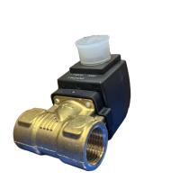China Burkert 6213 Series 00221614 00221615 00221617 00221622 00221623 00221625 Hot Fluid Pipeline Replacement Spare Brass Solenoid Valve Port Size G1/2 Orifice 10mm 13mm for sale