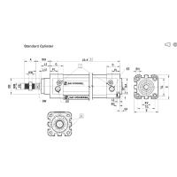 China PCA/702032/M/25 Double Acting Profile Cylinder 32mm Bore 25mm Stroke ISO15552 Pneumatic Cylinder for sale