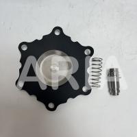 China ASCO 8210G054 Solenoid Valve Repair Kit K302283 1