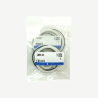 China CS96-160-PS SMC Anti Aging Long Service Life Cylinder Repair Kit Stable Pressure Retaining Performance For CP96 Series Pneumatic Cylinder Heavy Duty Continuous Operation And Periodic Preventive Mainte for sale