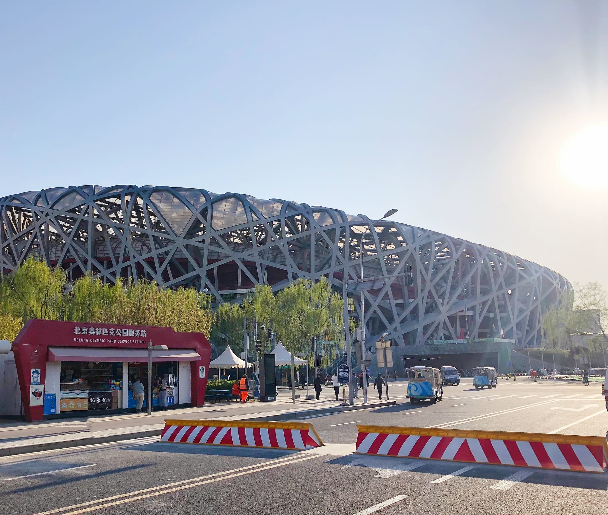 Bollards in bird's nest by zasp