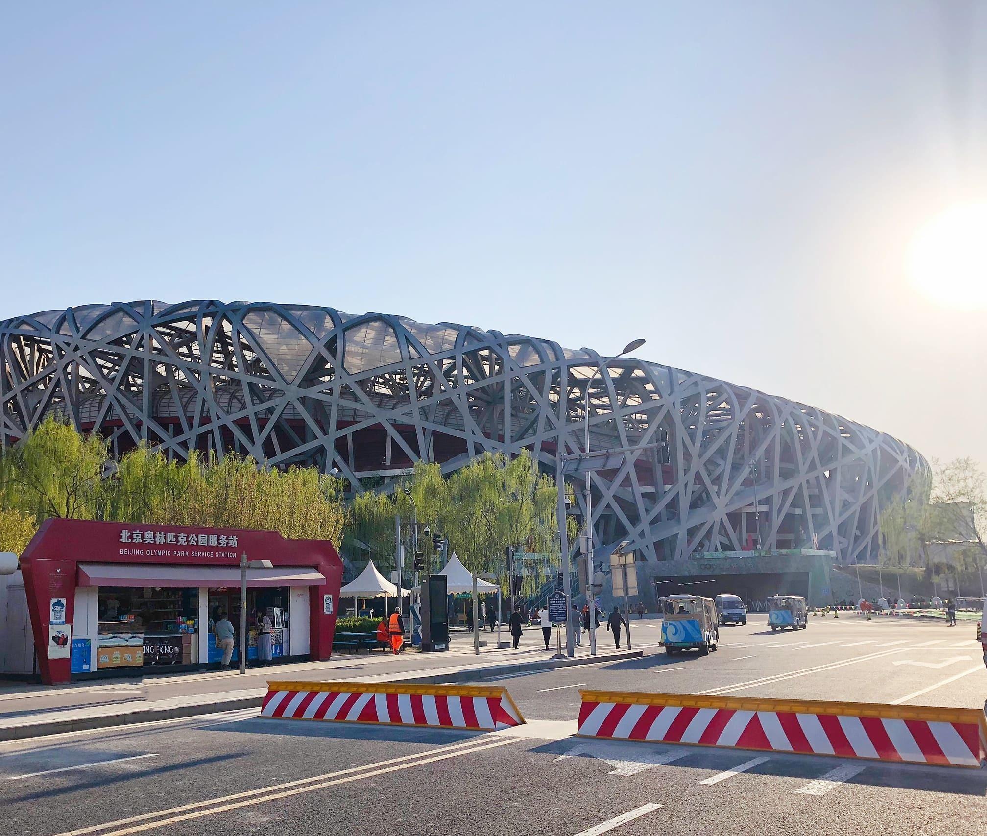Bollards in bird's nest by zasp