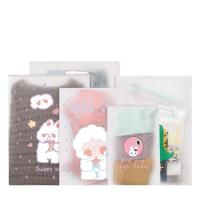 China Thickened PE Cartoon Kindergarten Clothing Ziplock Bags with Gravure Printing for Socks and Shoes Storage for sale