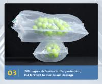 China Lot Clear Plastic Air Column Storage Bag for Red Wine Shock Proof Transparent Cushion Packing Pouch for sale